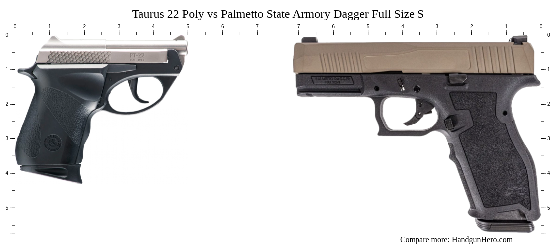 Taurus 22 Poly vs Palmetto State Armory Dagger Full Size S size ...