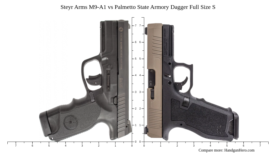 Steyr Arms M9-A1 vs Palmetto State Armory Dagger Full Size S size ...