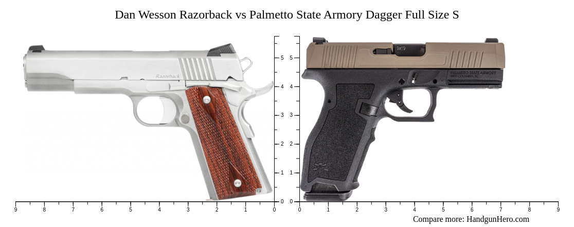 Dan Wesson Razorback vs Palmetto State Armory Dagger Full Size S size ...
