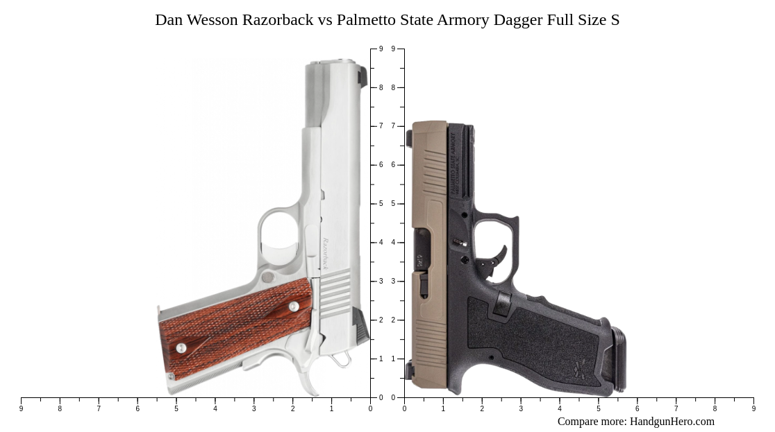 Dan Wesson Razorback vs Palmetto State Armory Dagger Full Size S size ...