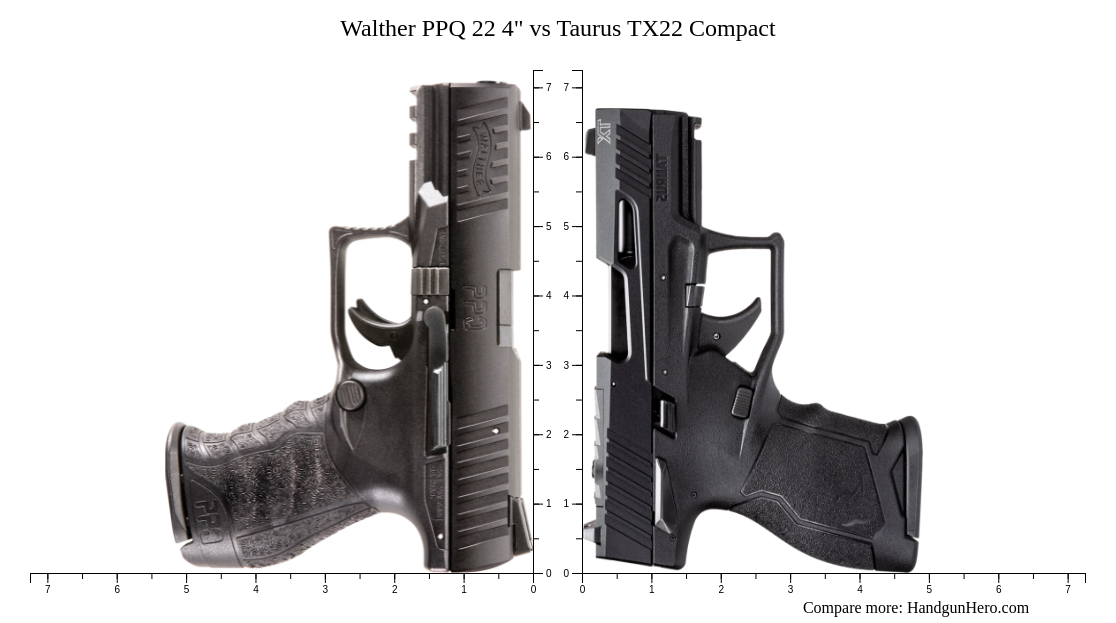 Walther PPQ 22 4" vs Taurus TX22 Compact size comparison | Handgun Hero