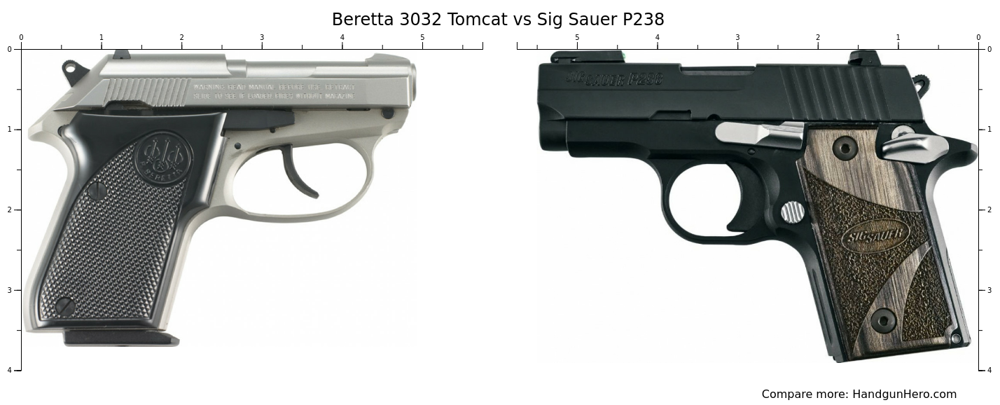 Beretta 3032 Tomcat vs Sig Sauer P238 size comparison | Handgun Hero