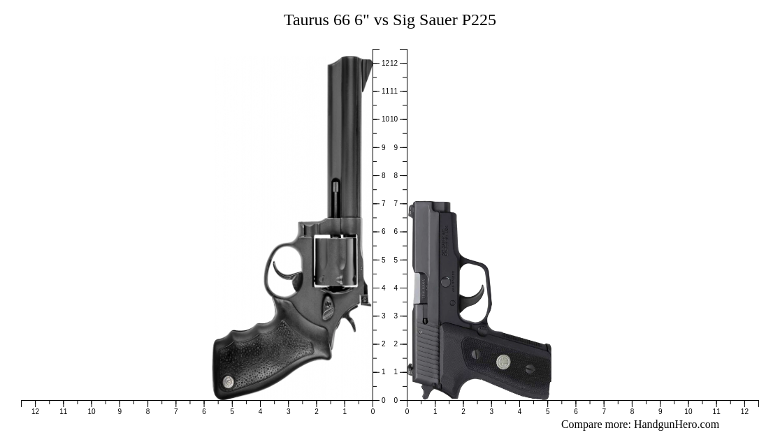 Taurus 66 6" vs Sig Sauer P225 size comparison | Handgun Hero