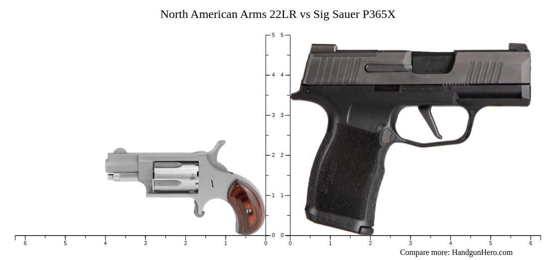 North American Arms 22LLR vs Sig Sauer P365X vs Ruger LCP II 22LR vs ...