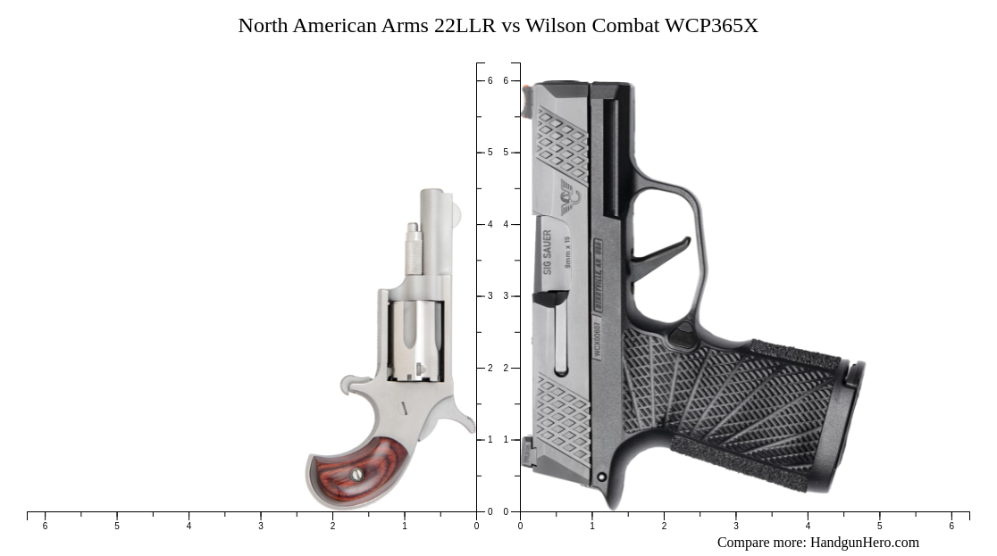 North American Arms 22LLR vs Wilson Combat WCP365X size comparison ...