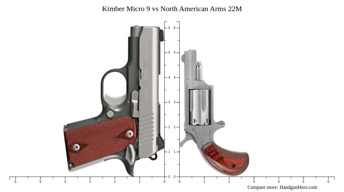 Kimber Micro 9 vs North American Arms 22M size comparison | Handgun Hero