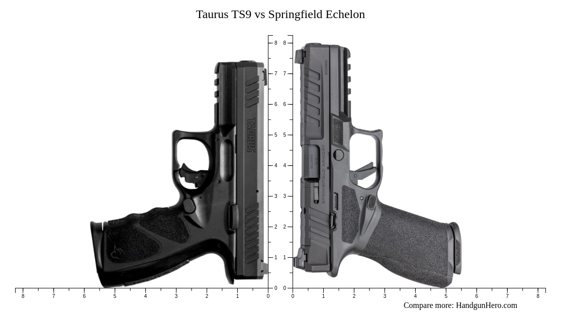 Taurus TS9 vs Springfield Echelon size comparison | Handgun Hero