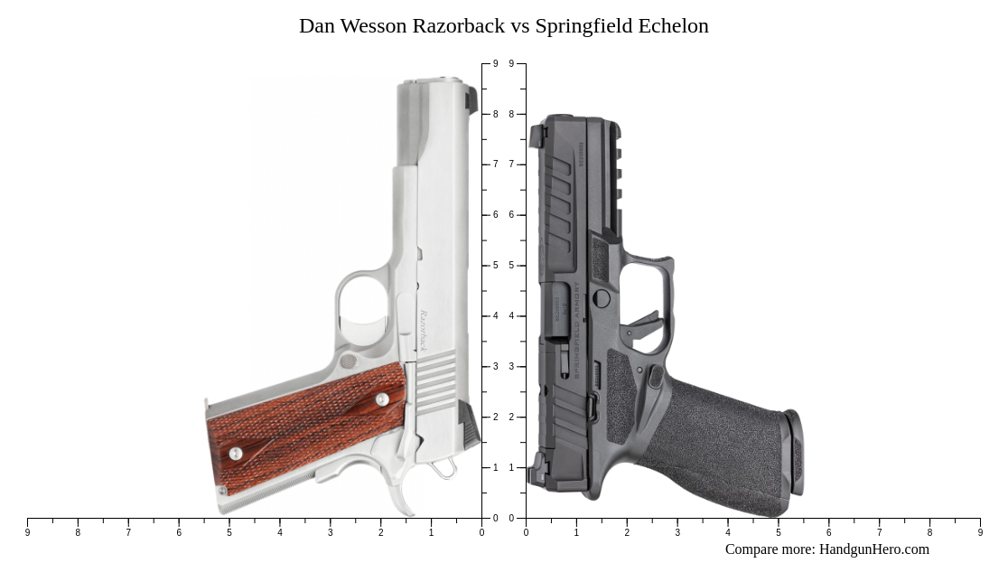 Dan Wesson Razorback vs Springfield Echelon size comparison | Handgun Hero